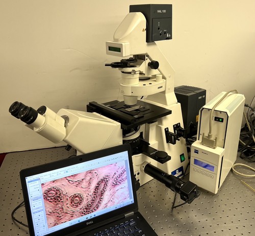 Zeiss Axiovert 200 Inverted Microscope ATTO Fluorescence Phase Contrast ...