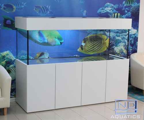 72"x24"x24" (6'x2'x2') Tropical Fish Tank/Aquarium | eBay UK
