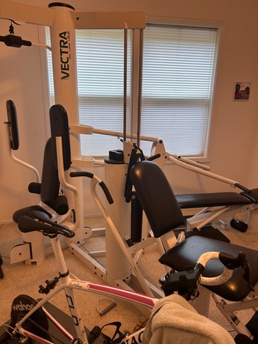 Vectra Online 1800 weight machine | eBay