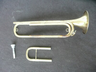 Natural Trumpet for sale | eBay
