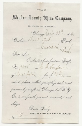 1880 Steuben County Wine, Chicago; letterhead to Cassopolis, Michigan ...