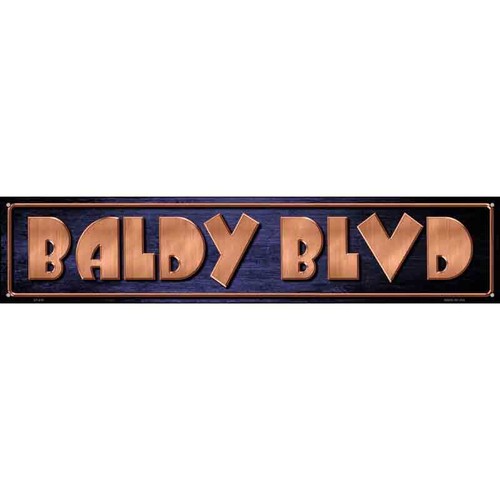 Baldy Blvd Novelty Metal Street Sign ST-415 | eBay
