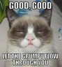 It's Like The More You Talk The Less I Care Grumpy Cat Sarcastic Pet ...