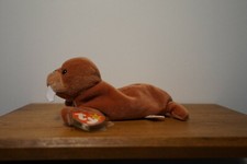 Tusk the Walrus : Beanie Boos : Beaniepedia