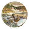 Redhead Ducks Loons Geese Mallards Decorative Plate Painted Plate | eBay