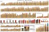 Big Bore Bullet Chart Picture Poster | eBay