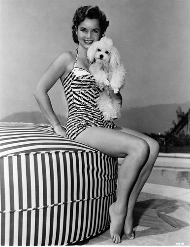 Hollywood Actress Debbie Reynolds Classic Poster Picture Photo Print ...