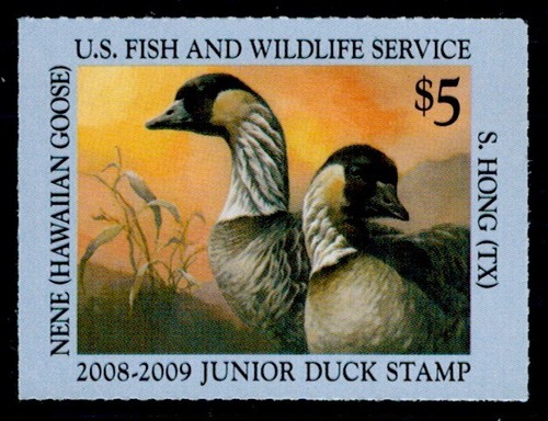 US Junior Duck Stamp JDS16 MNH 2008-2009 | eBay