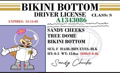 Sandy Cheeks SpongeBob Novelty ID Made On Metal/Aluminum | eBay