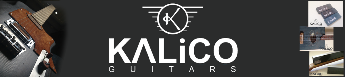 Kalico Guitars | eBay Stores