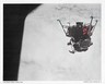 APOLLO 9 LUNAR MODULE SPIDER IN LUNAR LANDING CONFIGRATION 8X10 PHOTO ...