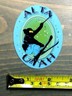 Alta Utah Sticker Decal Ski Snowboard Mountain Solitude Deer Valley ...