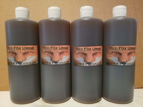 Fox Urine 1 gal hunting trapping foxes urines trap trapper garden repellent fur | eBay