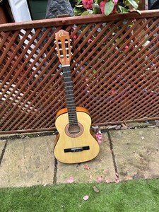 Eleca Guitars Indiana Acoustic Guitars for sale | eBay