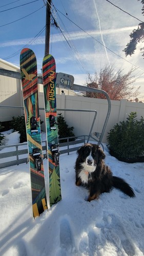 Liberty Genome skis plus carbon fiber bindings. Base & top skin have no ...