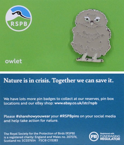 RSPB Pin Badge NIIC Owlet P03192 | eBay UK