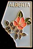 Edmonton Flower Blue Pink Yellow White Alberta Canada Enamel Lapel Pin ...