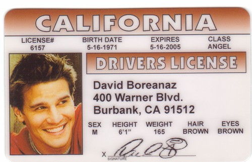 Angel of Buffy the Vampire Slayer id card Drivers License | eBay