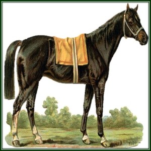 Ravens Attic Address Labels | eBay Stores