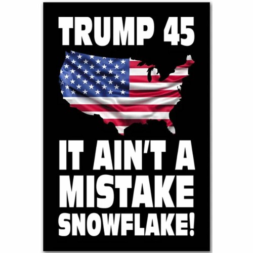 Donald Trump 45 It Ain't A Mistake Snowflake - Bumper Sticker | eBay