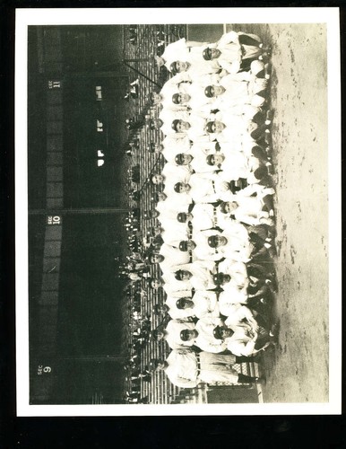 1929 New York Yankees Team Picture 8x10 photo | eBay