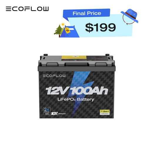 EcoFlow 12V 100Ah LiFePO4 Battery BMS Deep Cycle For RV Solar Energy ...