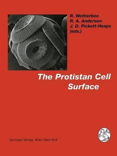 The Protistan Cell Surface by Richard Wetherbee (English) Paperback ...