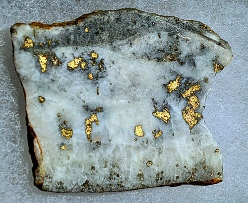High Grade Gold Ore Lapidary Slab – White Quartz Matrix – Ouray ...
