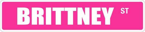 *Aluminum* Brittney 4" x 18" Metal Novelty Street Sign SS 677 | eBay