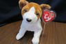 Ty Beanie Baby of the Month Adonis Dog NWMT, Exclusive | eBay