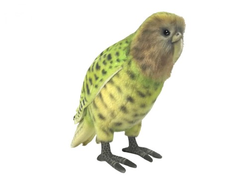 Hansa Kakapo Lifelike Plush Soft Toy 33cmL Bird Lovers Gift Lincrafts ...