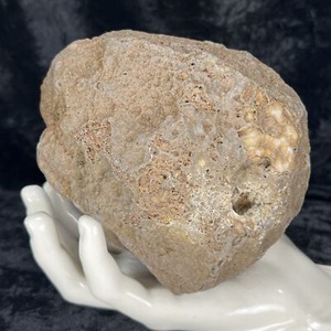 Kentucky Rock Shop Geodes & Agates | eBay Stores
