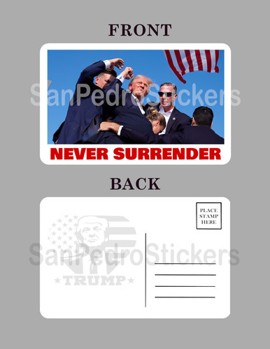DONALD TRUMP 2024 - 4" x 6" Glossy Postcard 7/13 NEVER SURRENDER Free Shipping! | eBay