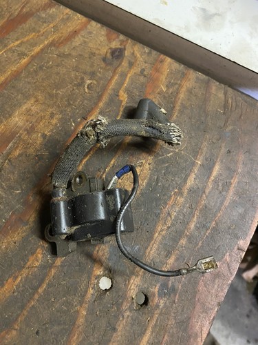 OEM Homelite 250 Chainsaw Ignition Coil Free Shipping | eBay