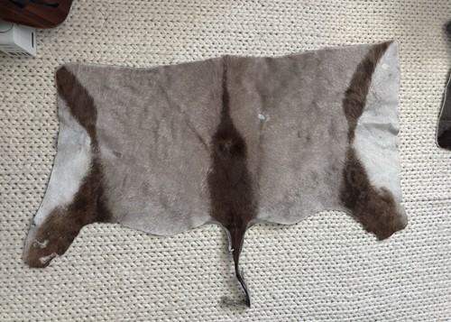 Vintage African Gemsbok Half Hide Throw Rug Or Wall Hanger | eBay