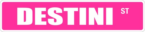 *Aluminum* Destini 4" x 18" Metal Novelty Street Sign SS 1154 | eBay