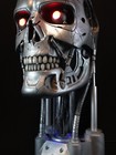 Lifesize Terminator - T-800 Endoskeleton | The Green Head