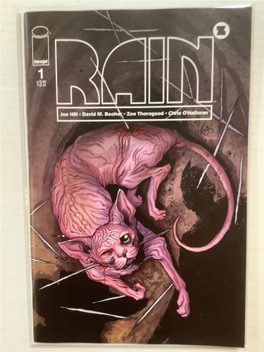 Joe Hill Rain 1 1:50 Renae Deliz Variant HOT HTF OOP | eBay