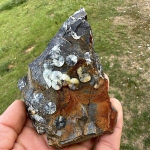 ULTRA-ROCKS | eBay Stores