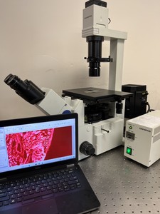 Bahns Enterprise Inc | eBay Stores