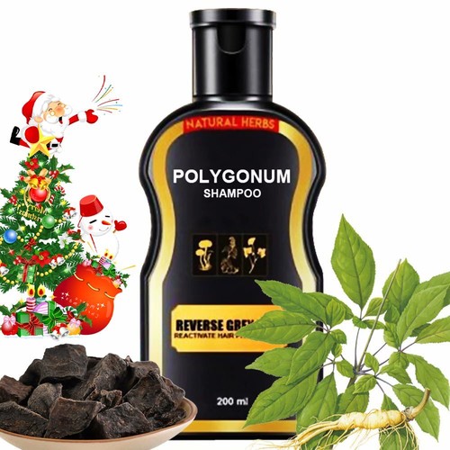 Natural Darkening Ginger Polygonum Multiflorum Hair Care Shampoo 200ml ...
