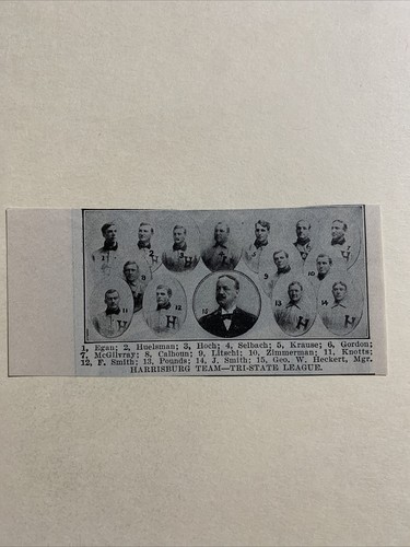 Harrisburg Senators Kip Selbach Dick Gean 1908 Baseball Team Picture #2 ...