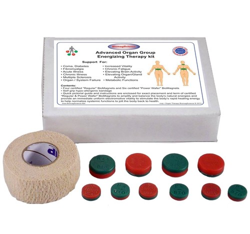 ORGAN THERAPY Health Magnets Liver Kidneys Brain Magnetic Energy ...