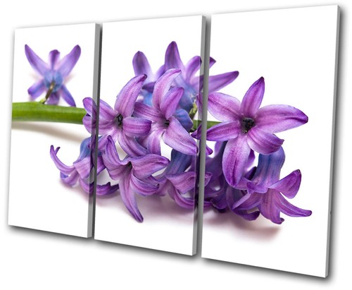 Floral Flower Flowers TREBLE CANVAS WALL ART Picture Print VA | eBay