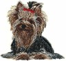 DOG - YORKIE - LONG HAIRED - FULLY EMBROIDERED IRON ON APPLIQUE PATCH ...