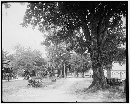 Photo:A Pretty bit of Monroe Park, Mobile, Ala. | eBay