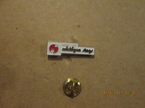 WHA Michigan Stags Vintage Defunct Circa 1974-75 Logo Hockey Lapel Pin ...