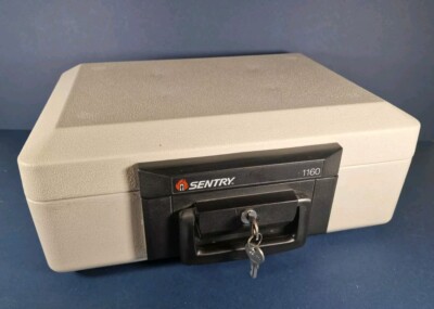 Sentry for sale | eBay