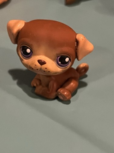 Littlest Pet Shop LPS #133 Dog Chien Pug Brown Puppy Hasbro Figure ...