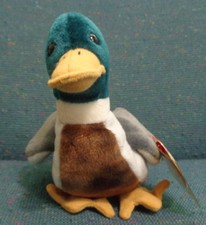 Jake the Mallard Duck : Beanie Babies : Beaniepedia